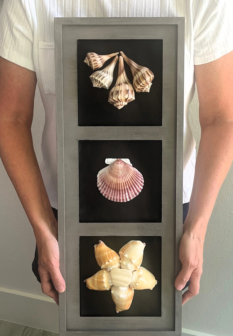 Seashell Wall Art, Coastal Seashell Art, Beach Decor, Fighting Conch ...