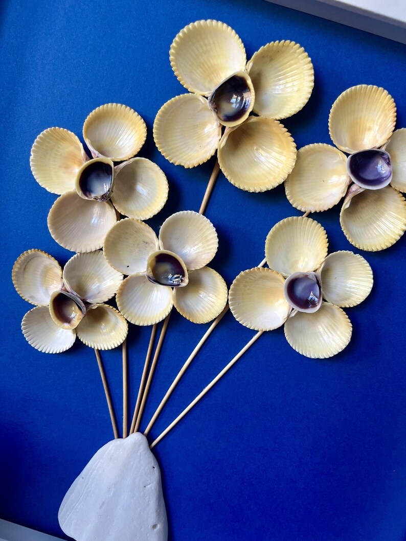 Shadowbox Shell Art, 12x12 Prickly Cockle Shell Flower Art, Beach Decor ...