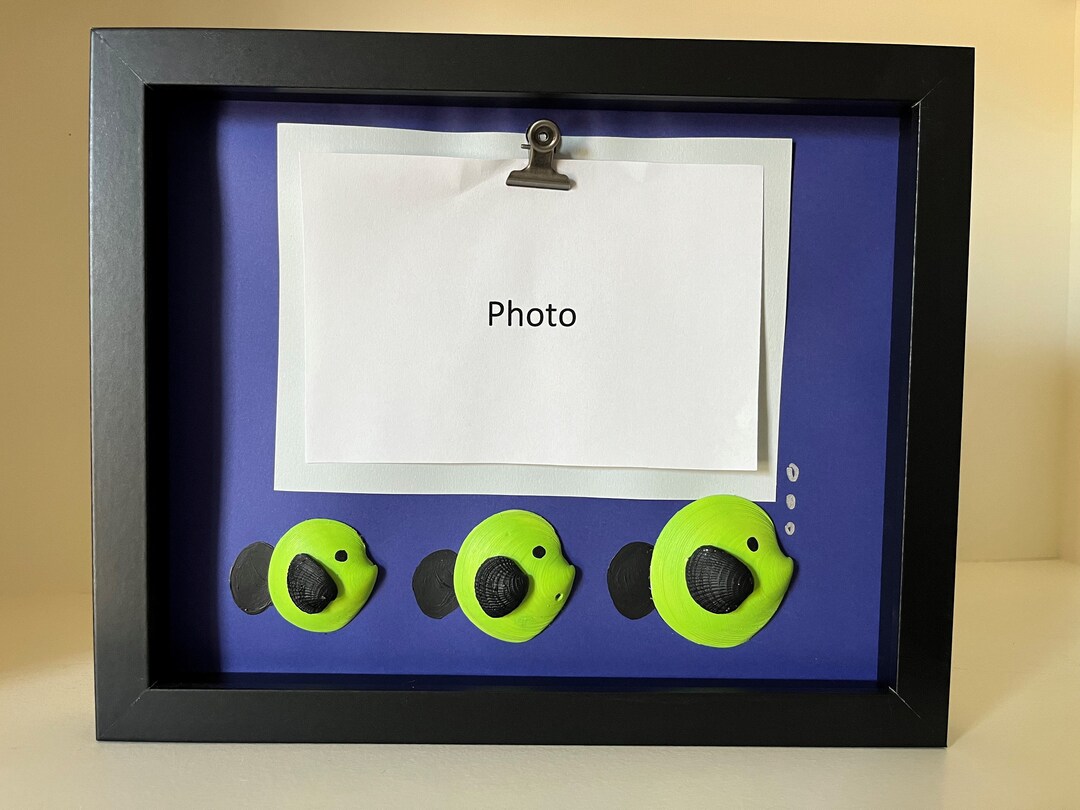 Fishing Frame, Seashell Fish Frame, Lake Frame, 8x10 Shadowbox of ...