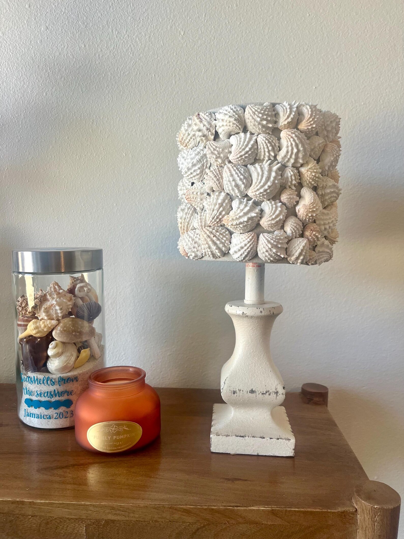 Seashell Lamp, Beach Home Decor, Coastal Decor, Sea Shell Lamp ...