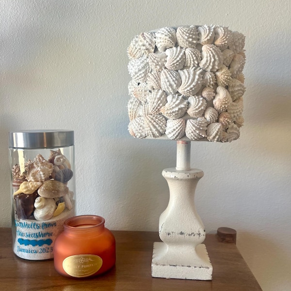 Seashell Lamps - Etsy
