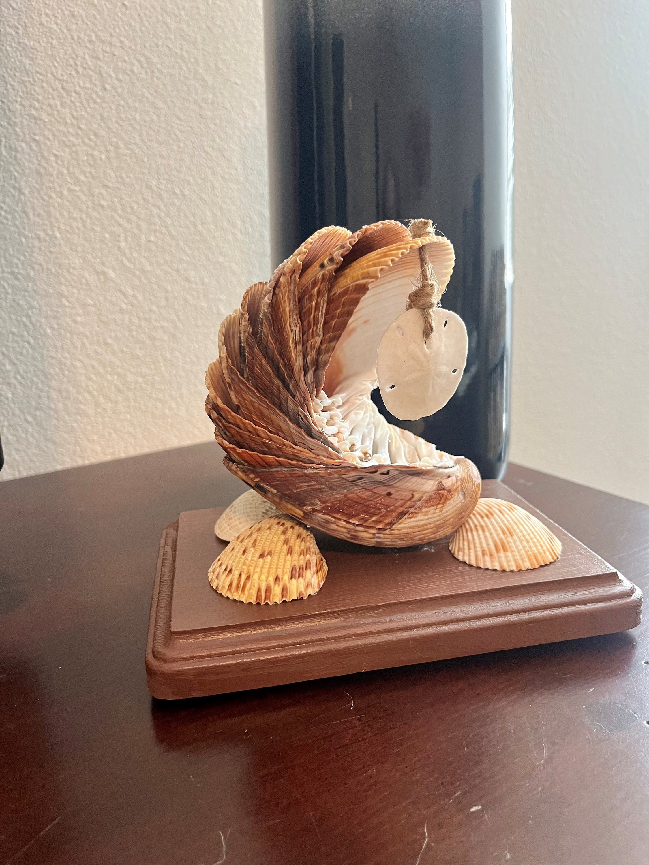 Giant Atlantic Cockle Shell Art, Cockle Shell Sculpture, Cockle Shells ...