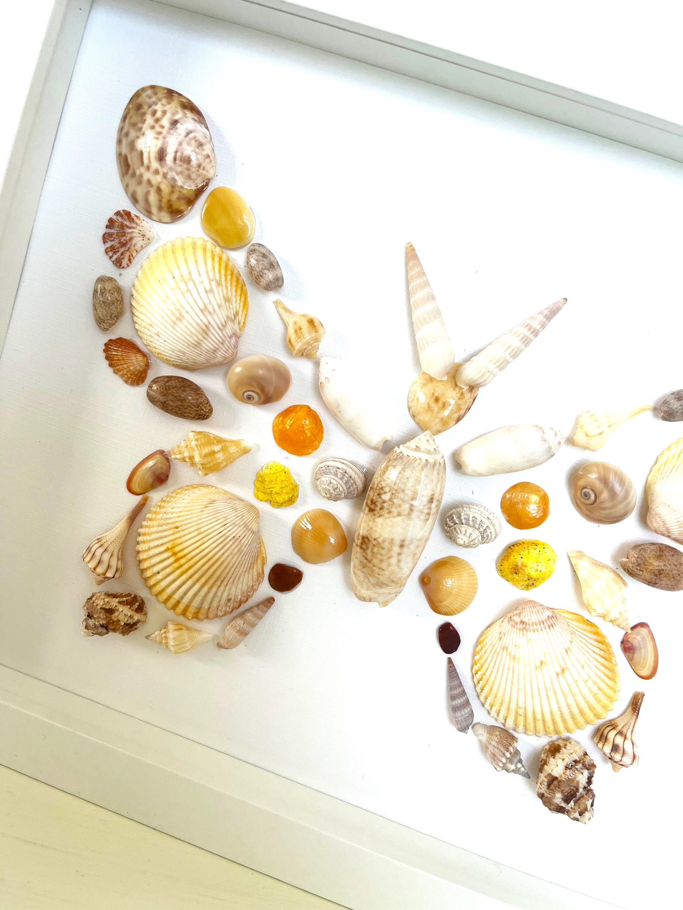 Seashell Butterfly, Seashell Collage Art, Seashell Shadowbox, Seashell ...