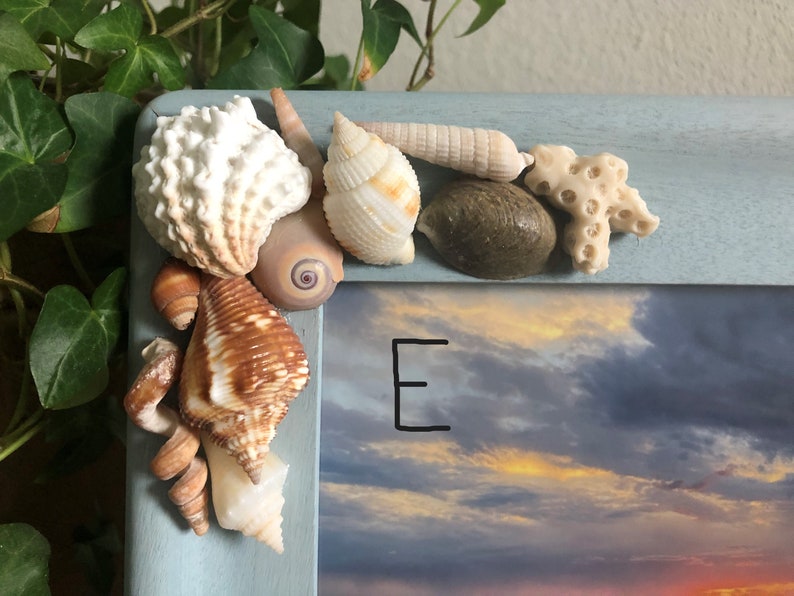 Seashell Accent Frame Seashell Photo Frame Seashell Frame - Etsy