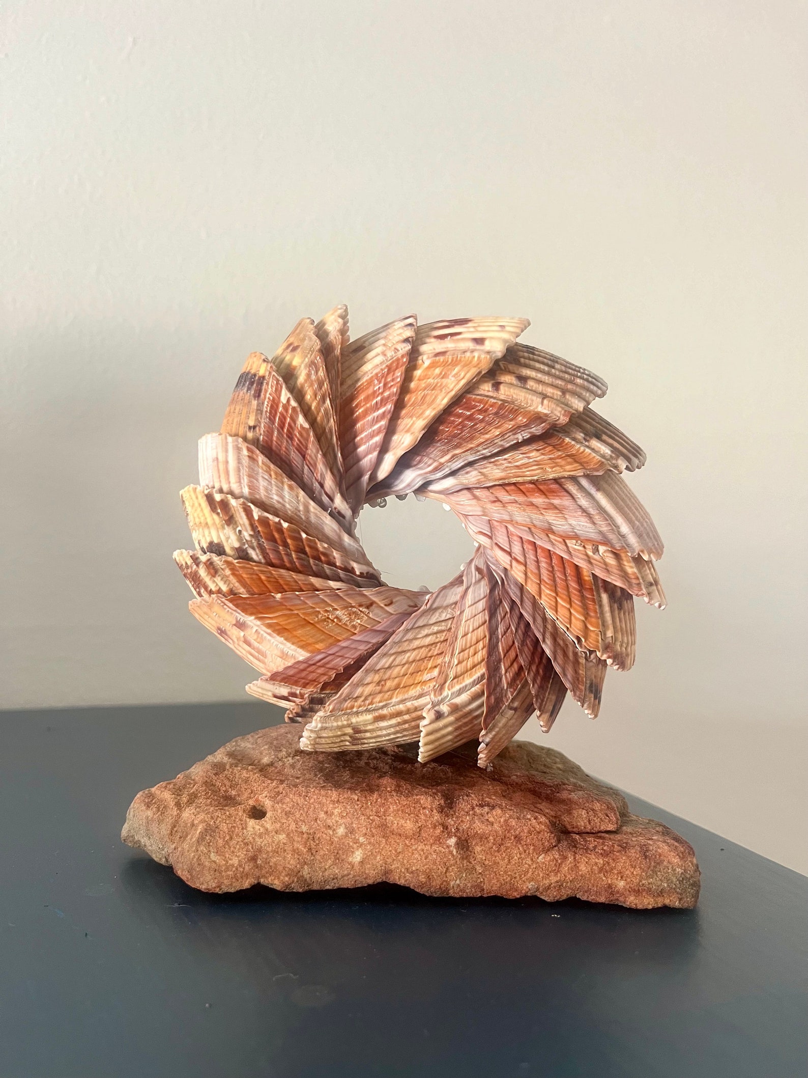 Shell Ring Decor, Giant Atlantic Cockle Shell Art, Cockle Shell ...