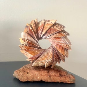 Shell Ring Decor, Giant Atlantic Cockle Shell Art, Cockle Shell ...
