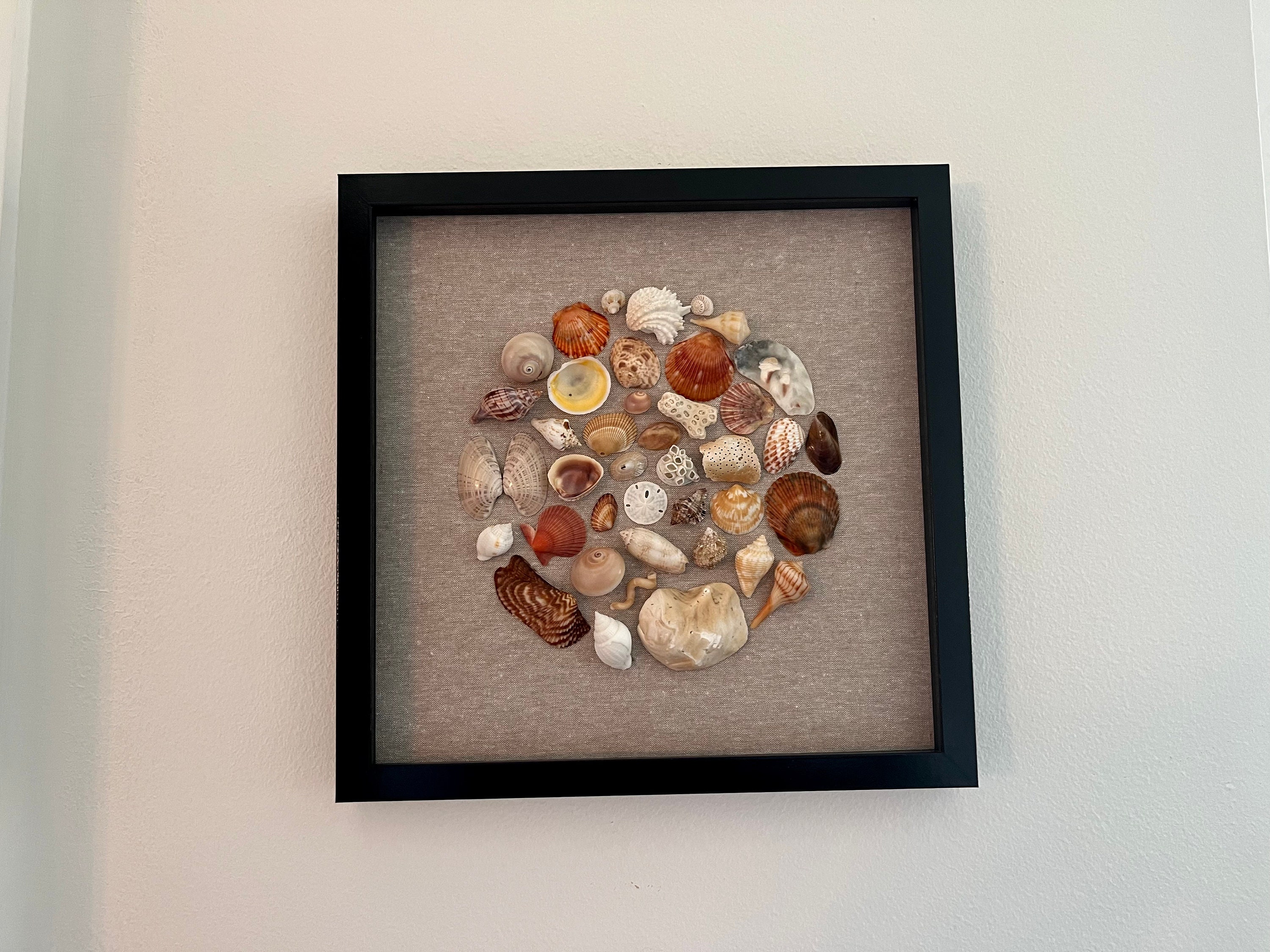 Seashell Collage Art Seashell Shadowbox Seashell Mandala - Etsy
