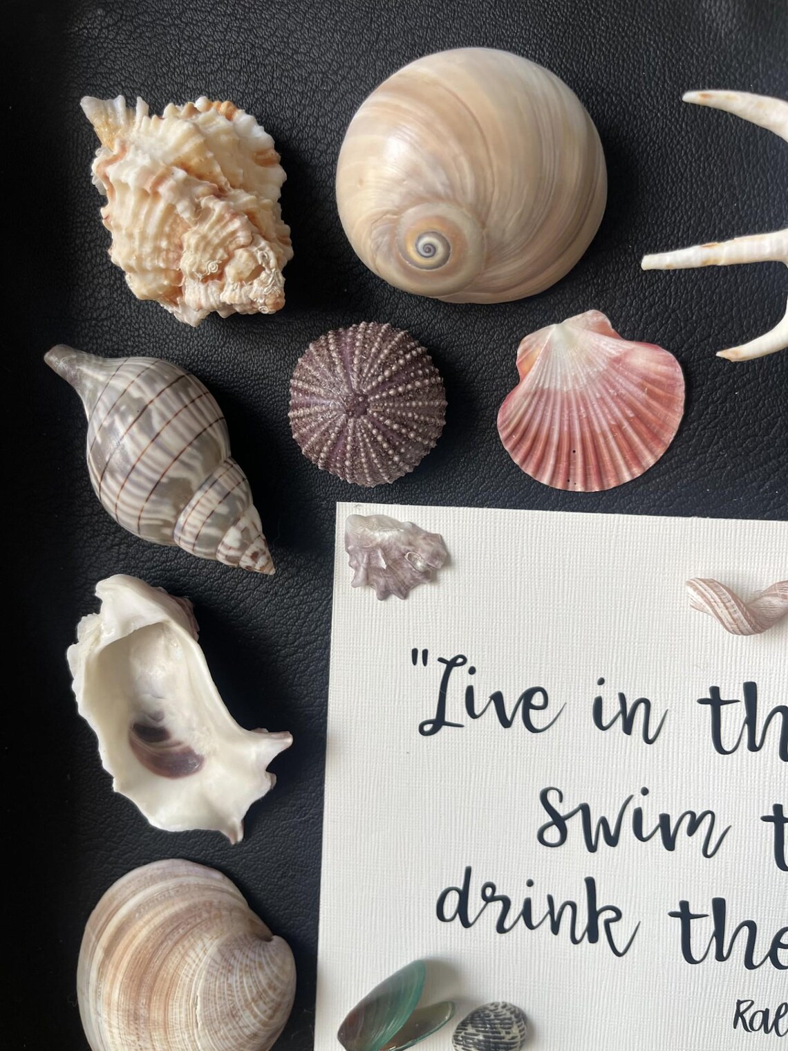 Seashell Collage, 15x15 Seashell Shadowbox, Coastal Decor, Beach Wall ...