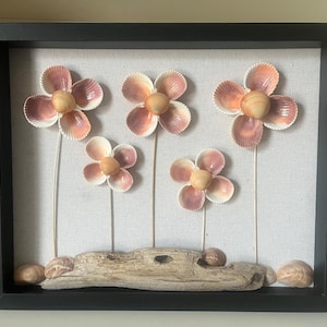 Shadowbox Shell Art, 12x12 Prickly Cockle Shell Flower Art, Beach Decor ...