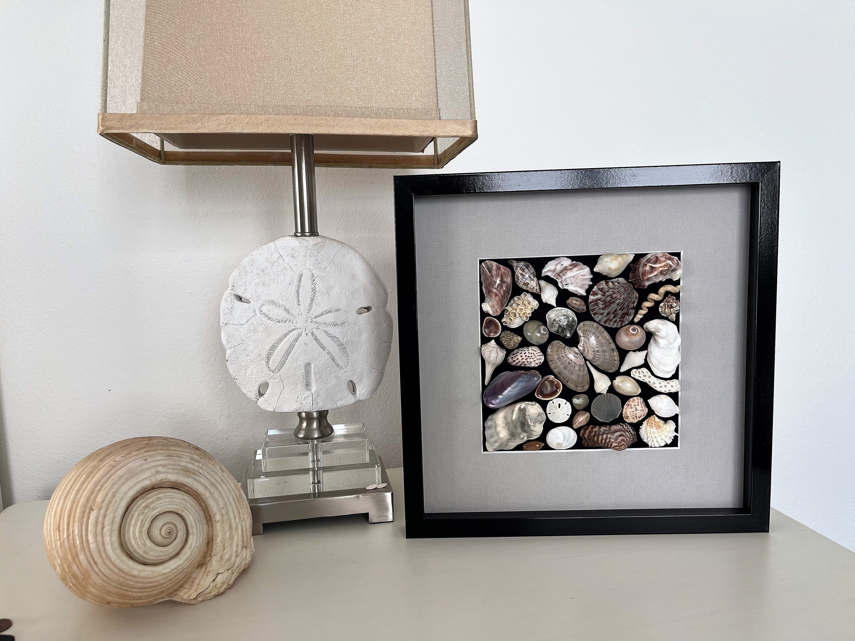 Shadowbox Shell Art, Mosaic Seashell Art, 12x12 Seashell Shadowbox ...