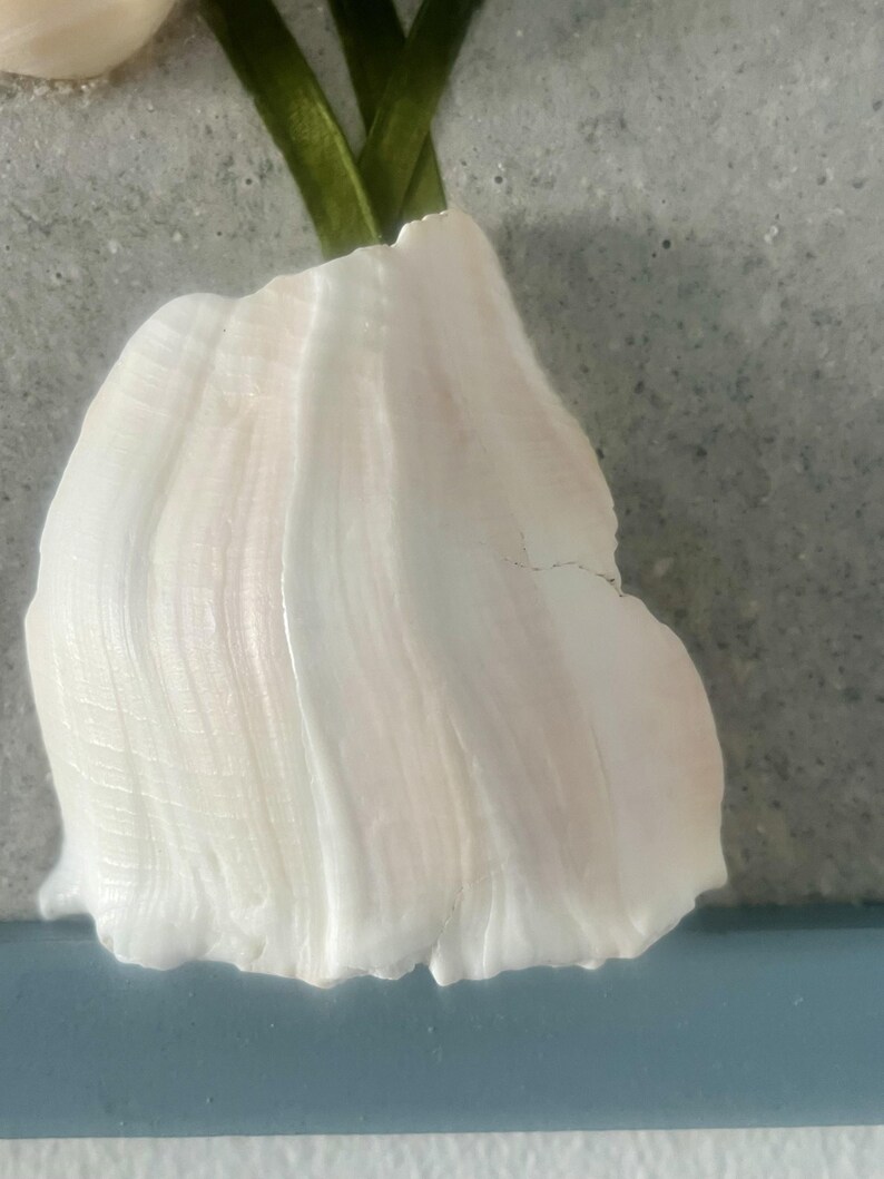 Seashell Flower Art, Buttercup Lucine Art, Beach Home Decor, Coastal ...