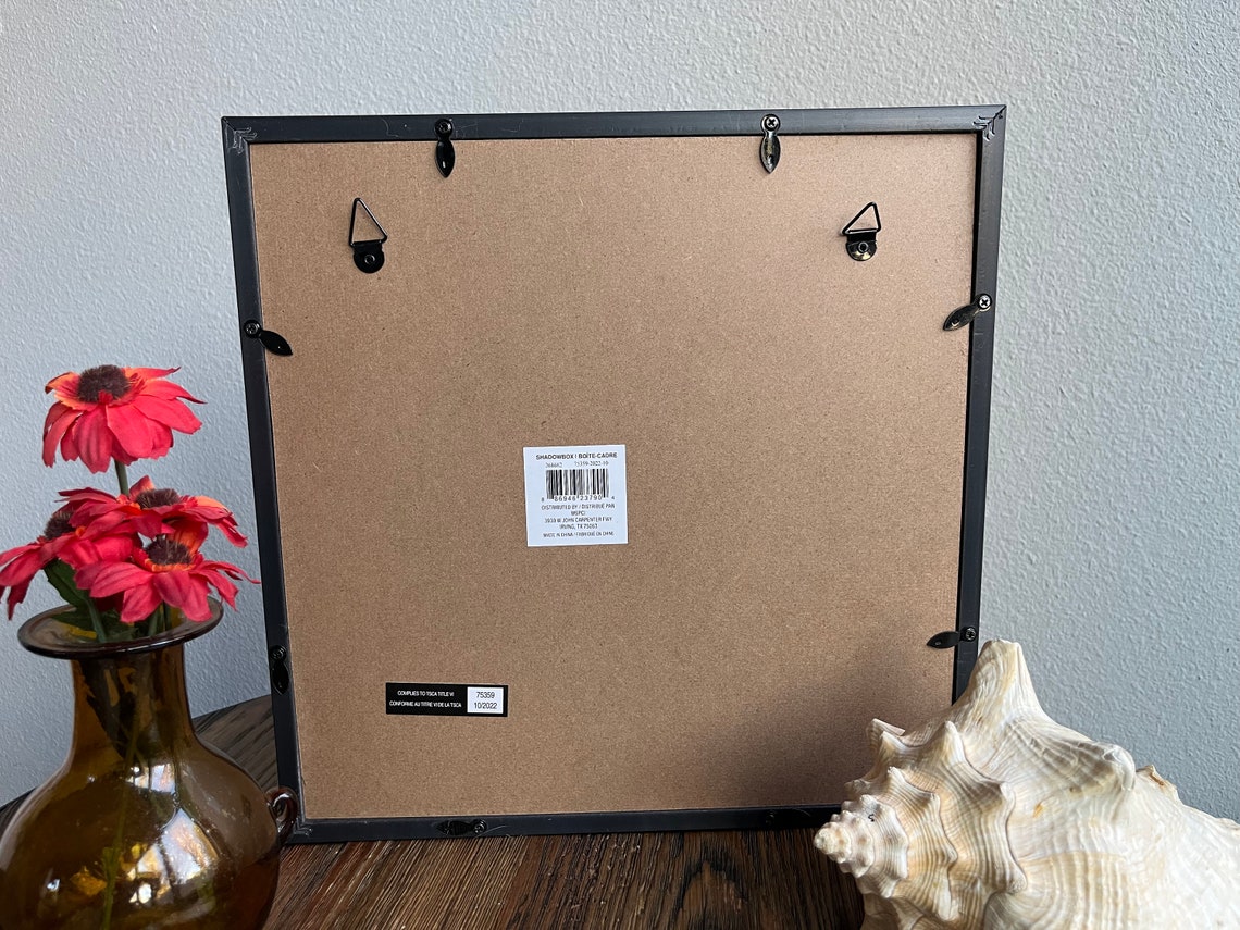 Seashell Butterfly, Seashell Collage Art, 12x12 Seashell Shadowbox ...