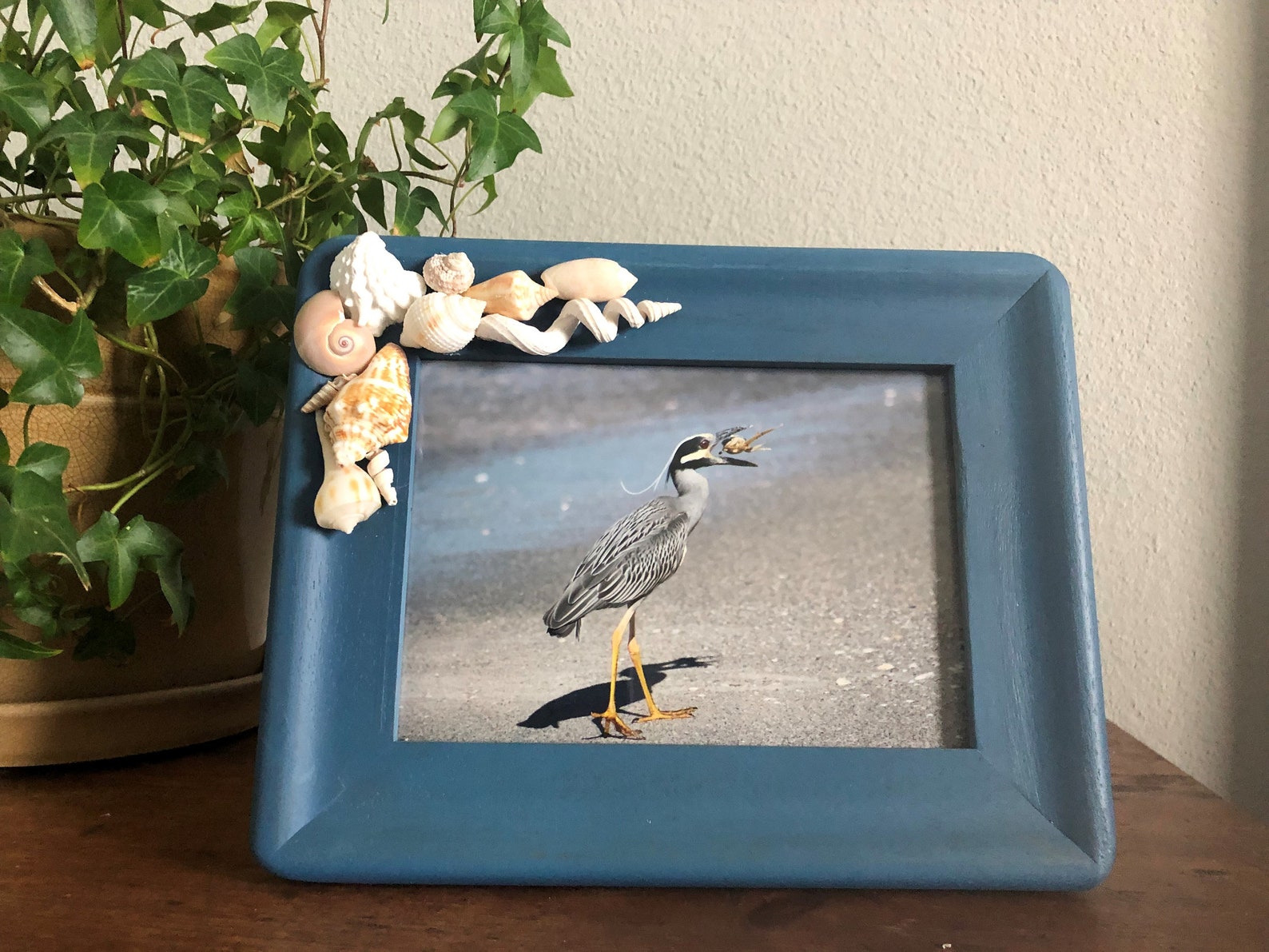 Seashell Accent Frame Seashell Photo Frame Seashell Frame - Etsy