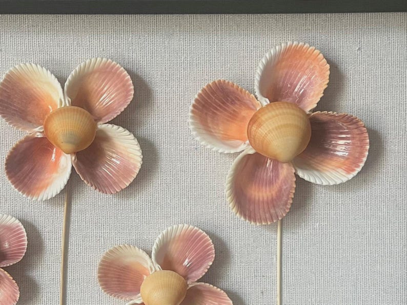 Shadowbox Shell Art, 12x12 Prickly Cockle Shell Flower Art, Beach Decor ...
