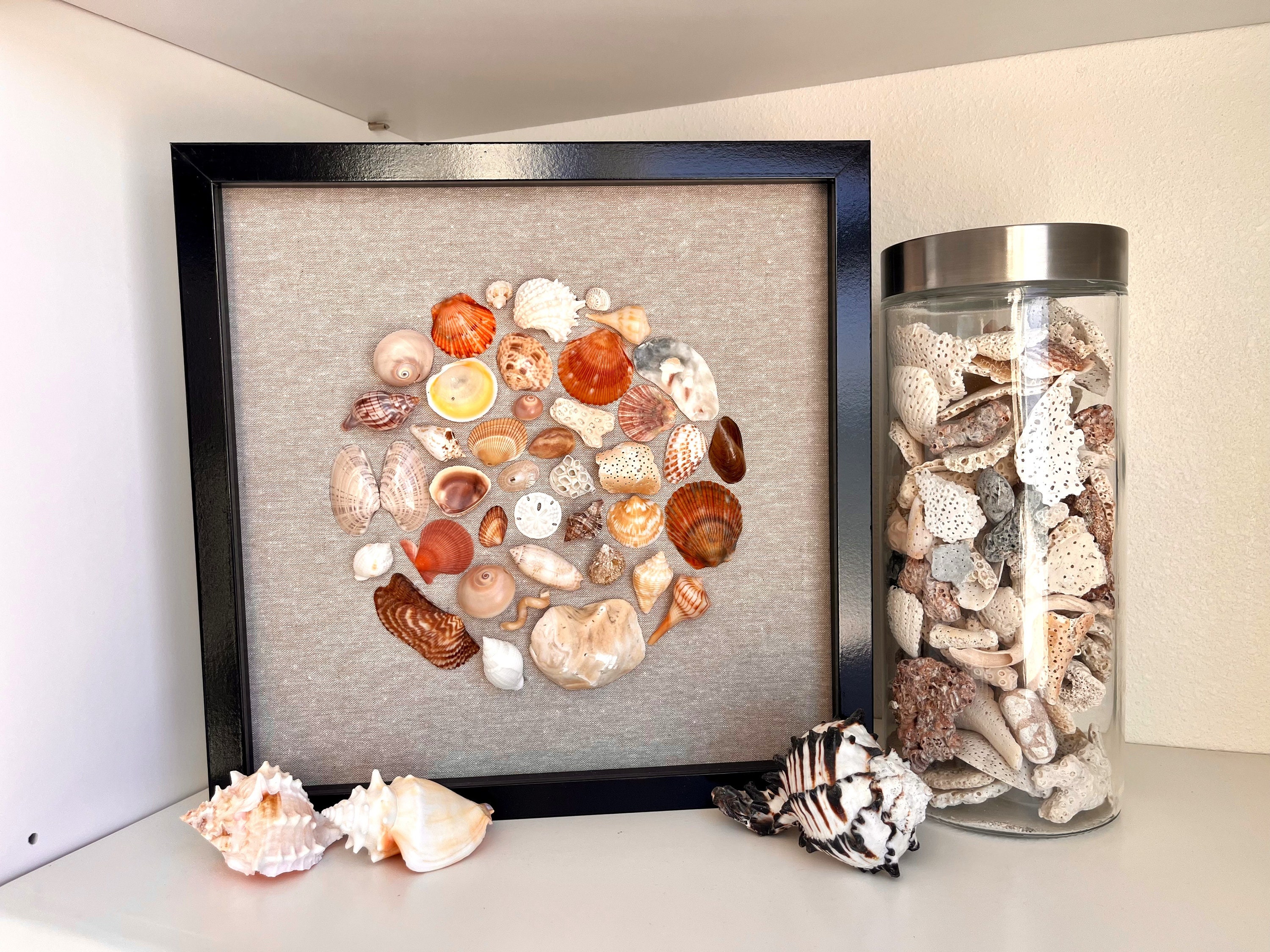Seashell Collage Art Seashell Shadowbox Seashell Mandala - Etsy