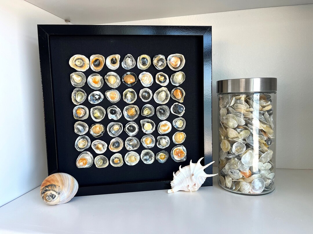 Mosaic Seashell Art, 12x12 Seashell Shadowbox, Jingle Shell Art ...