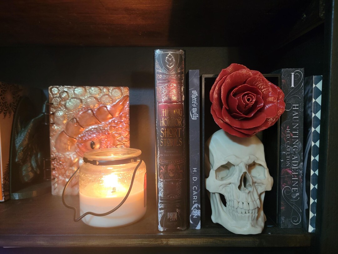 Gothic Skull Book Nook, A Perfect Booknook for Your Booktok Buddy or ...