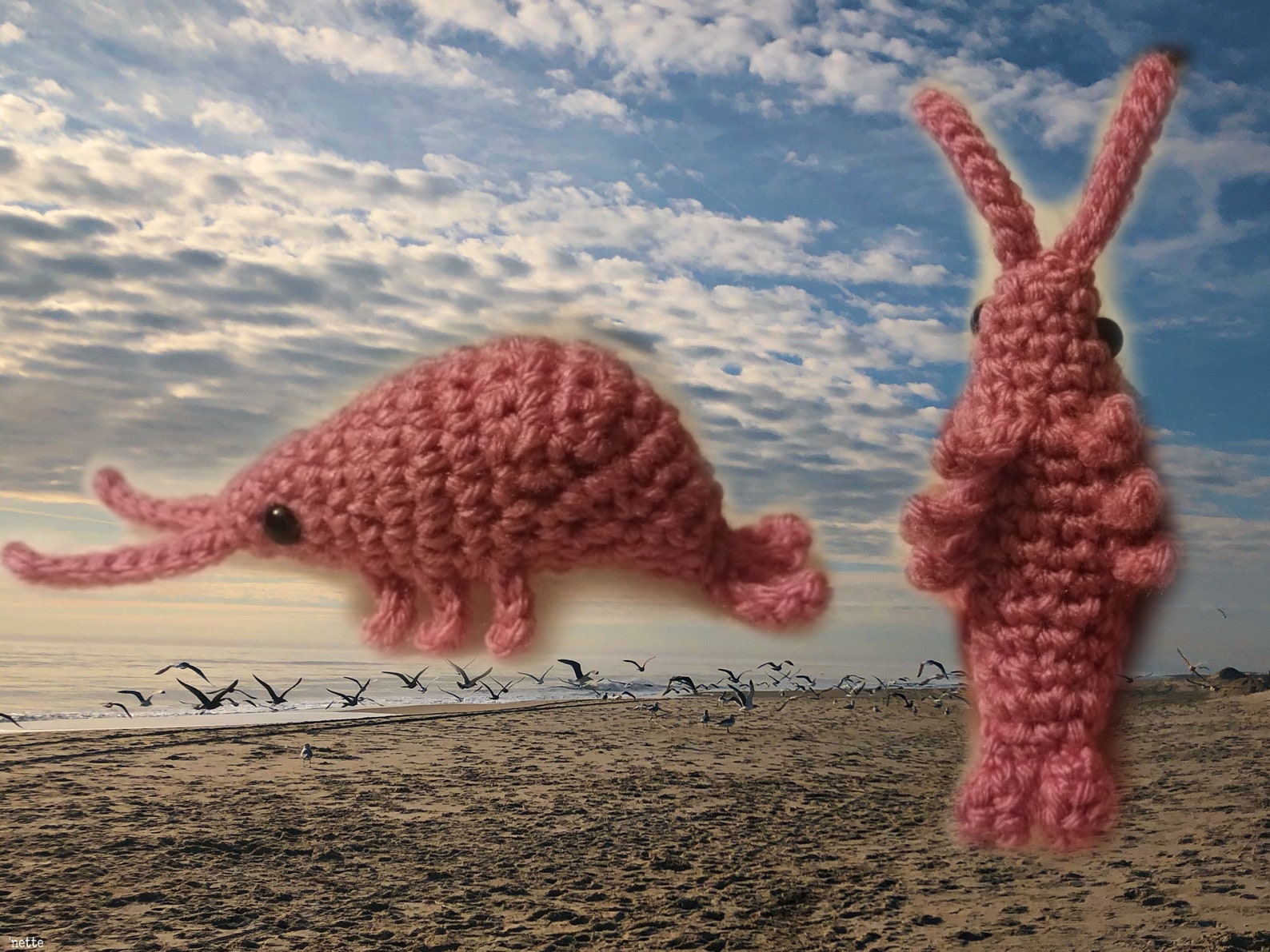 Shrimp Crochet Amigurumi Kawaii Cute Plushie Crustacean - Etsy