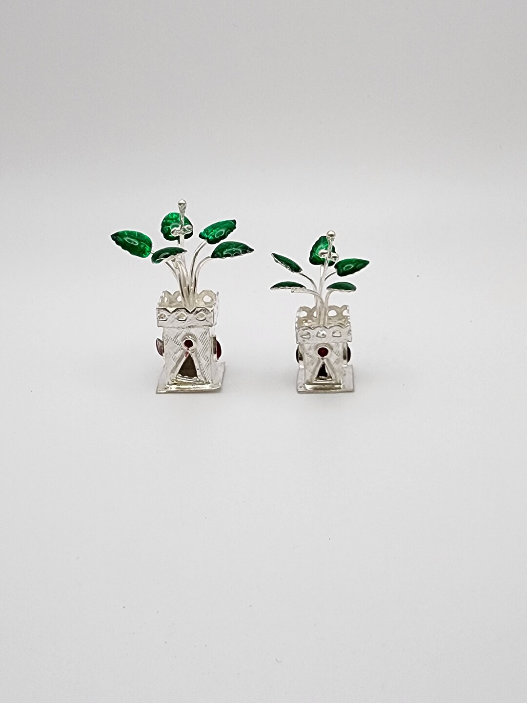 Silver Tulsi | Tulasi | Thulsi Plant Symbol of "purity and Devotion ...