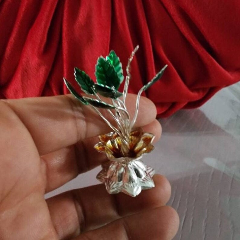 Silver Tulsi | Tulasi | Thulsi Plant Symbol of "purity and Devotion ...