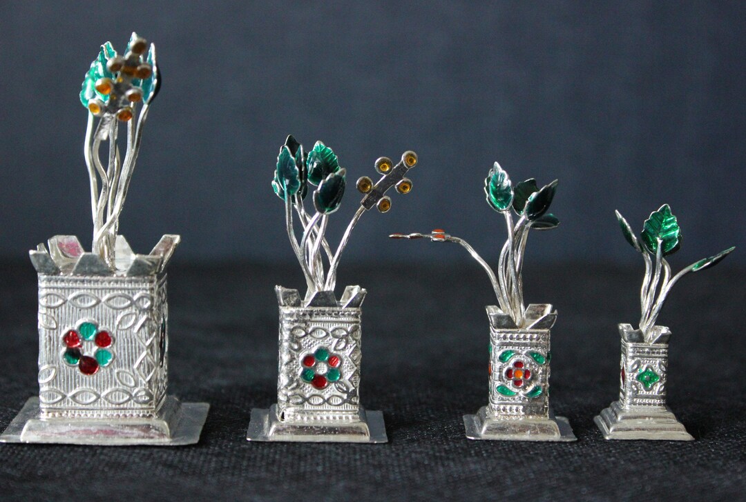 Silver Tulsi | Tulasi | Thulsi Plant Symbol of "purity and Devotion ...