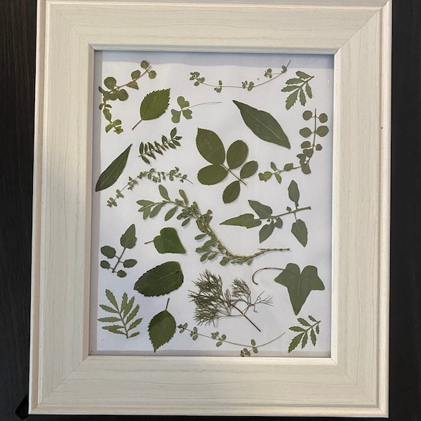 Pressed Leaves - Etsy