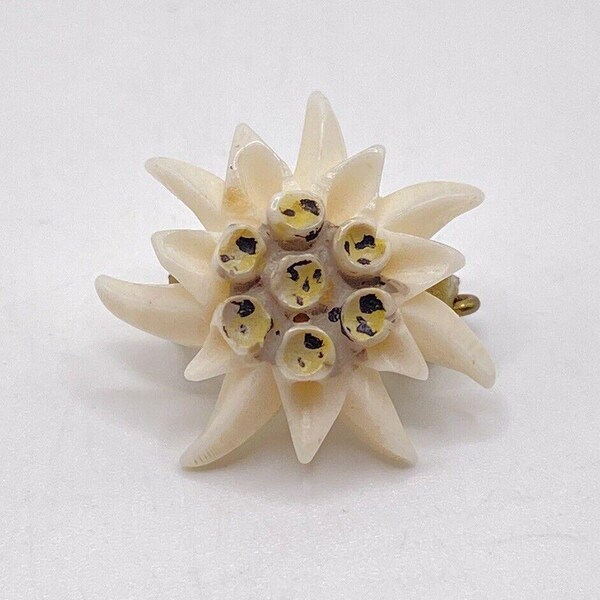 Edelweiss Brooch - Etsy