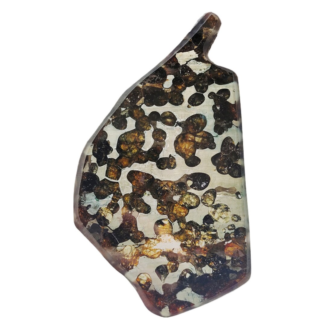 80.2g Brenham Pallasite Meteorite Slice Y125 - Etsy