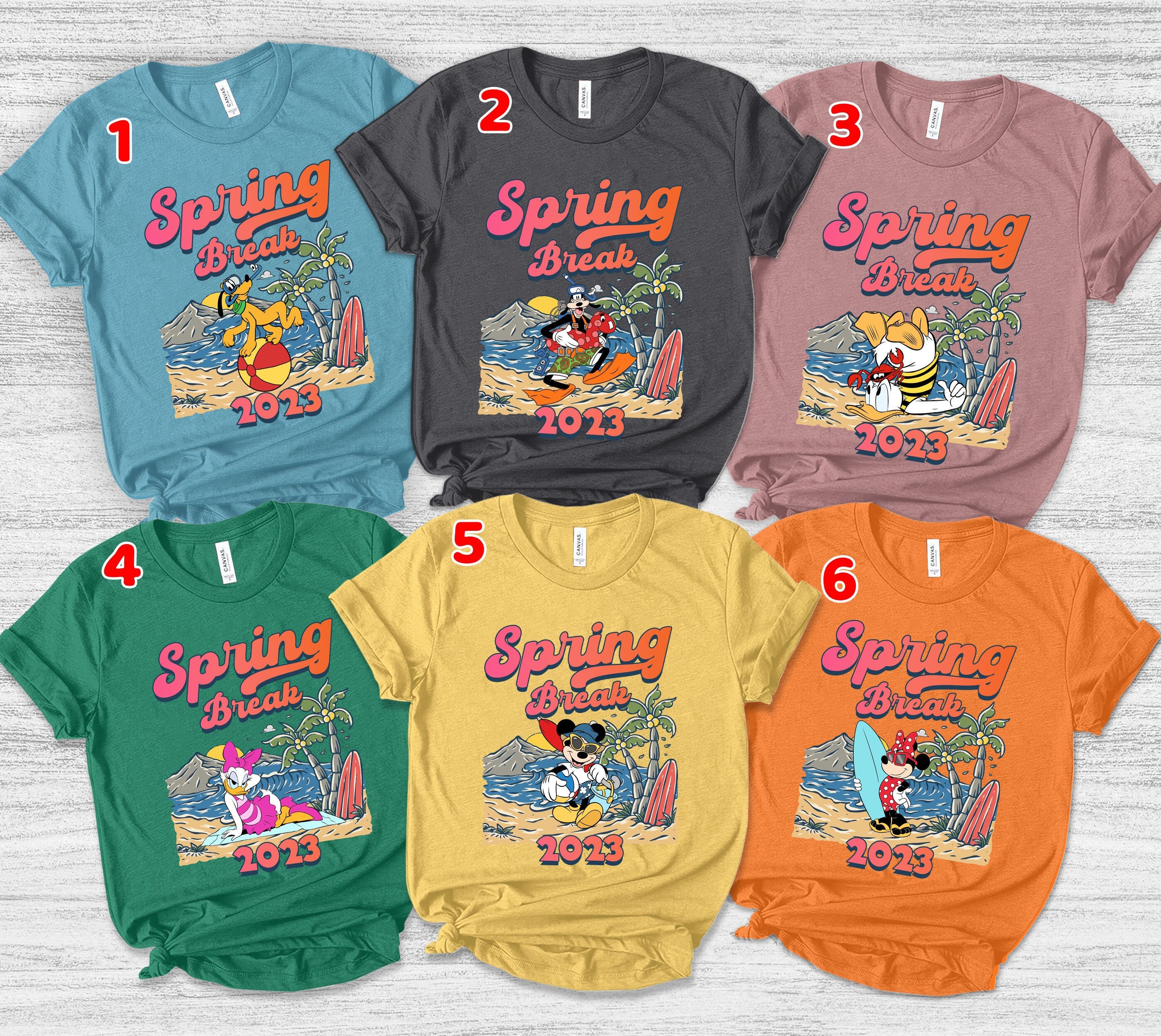 Vintage Disney Spring Break 2023 Shirt/ Retro Mickey And Friends Spring ...