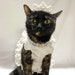 Royal Prince Nobility Clothes for Cats, Prince Crown for Cats, Handmade ...