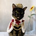 Royal Prince Nobility Clothes for Cats, Prince Crown for Cats, Handmade ...