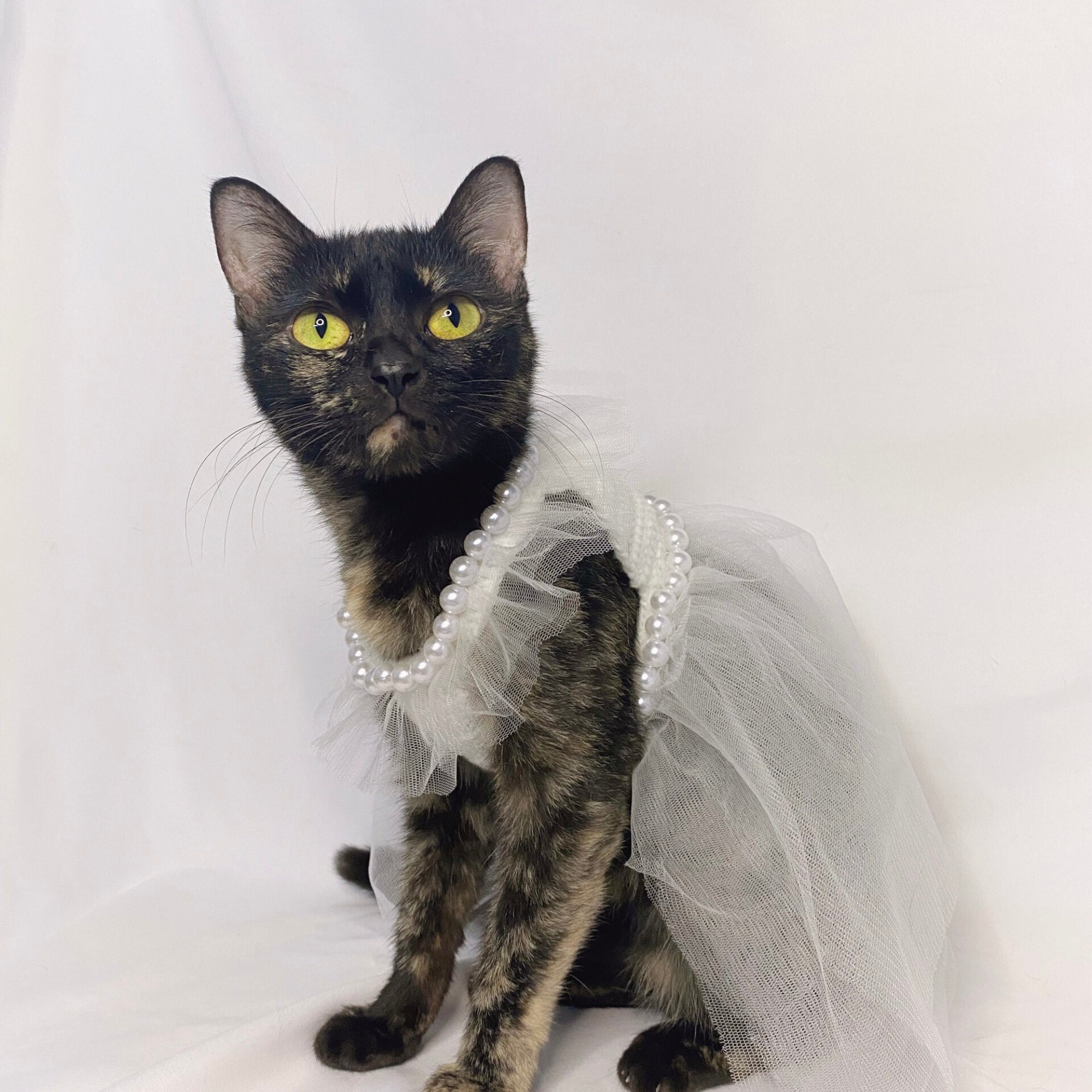 Cat Wedding Dress Crown Bridal Veil Bridesmaid Costume - Etsy