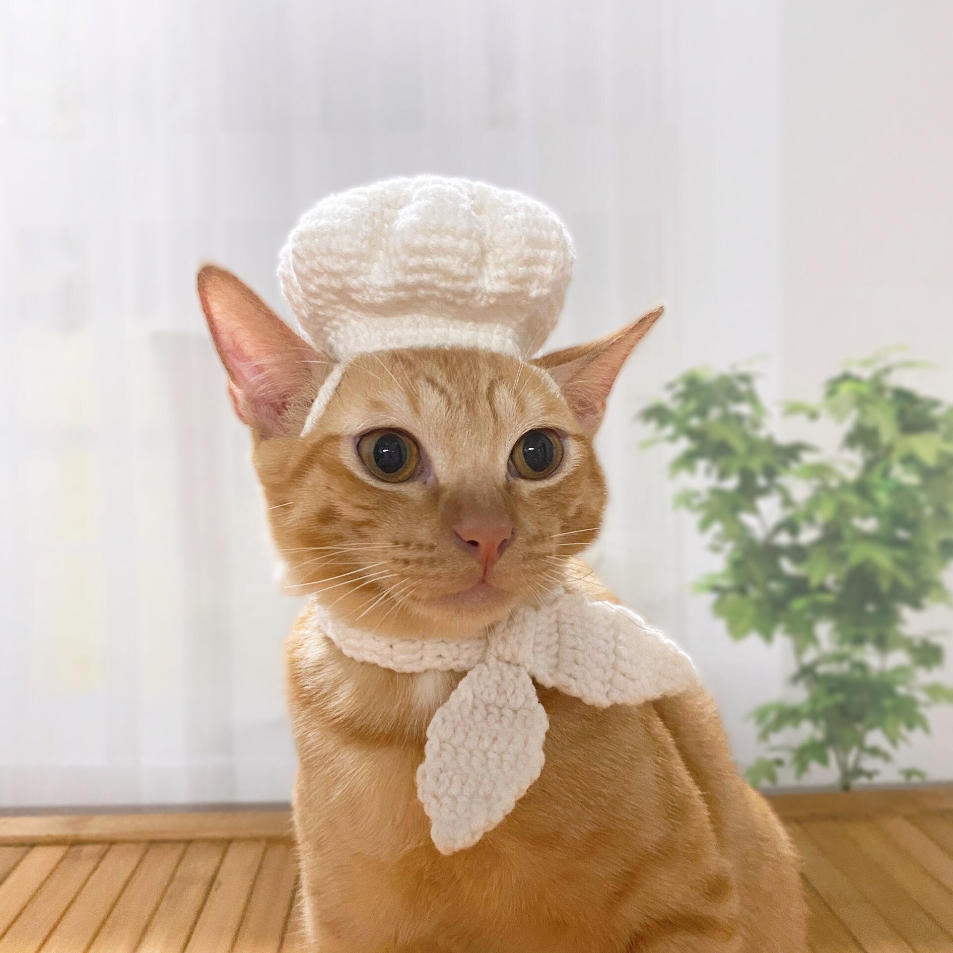 French Chef Hat and Scarf for Cats, Cook Pet Cosplay Outfit, Hat ...