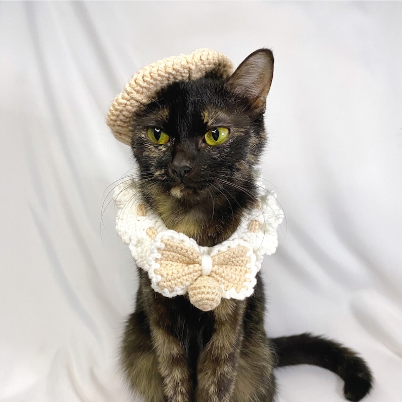French Beret Hats for Your Fashionable Cat Bowtie Cat Collar - Etsy