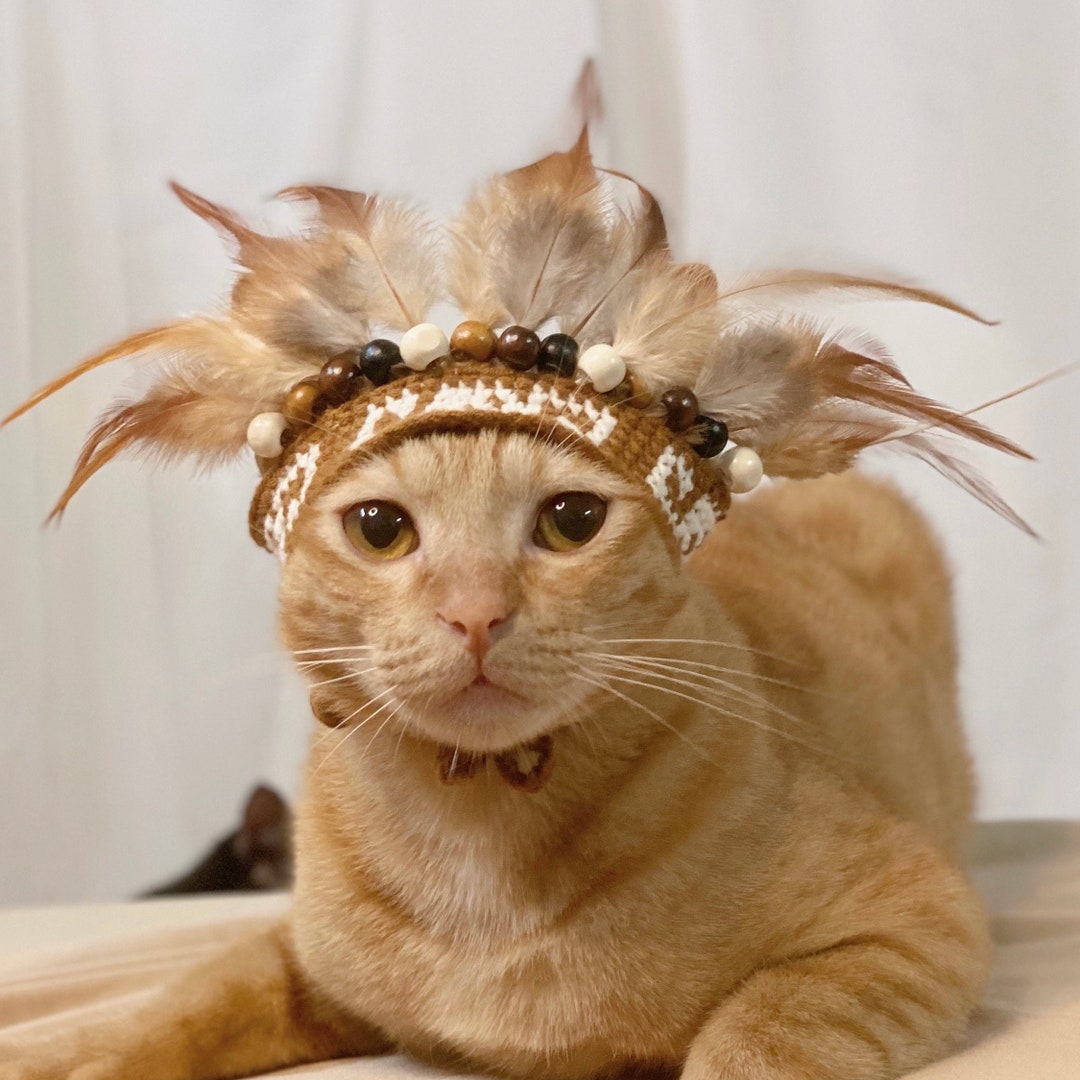 Indian Headdress for Cats, Native American Indian Inspired, Handmade ...