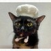 Crochet Pattern: Flared Toque Hat for Cats, PDF Instructions for Cat ...