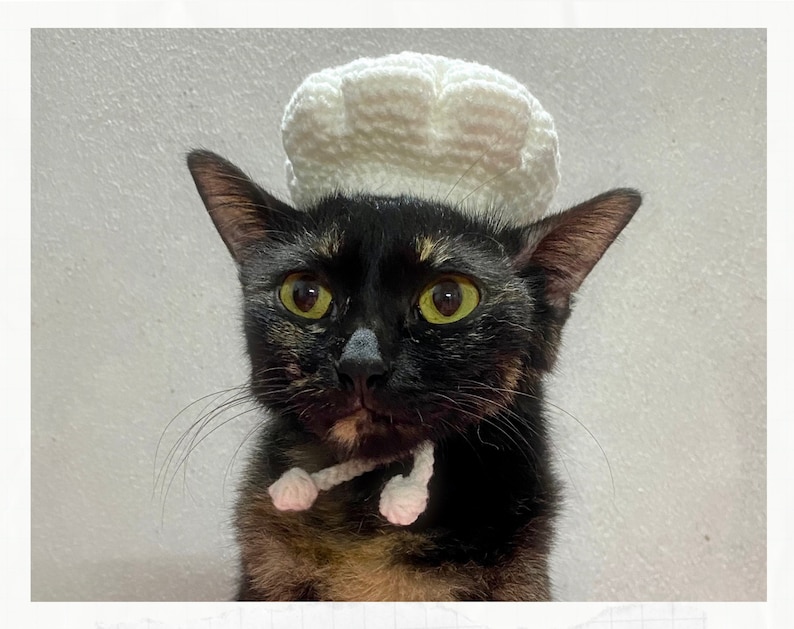 Crochet Pattern: Flared Toque Hat for Cats PDF Instructions - Etsy