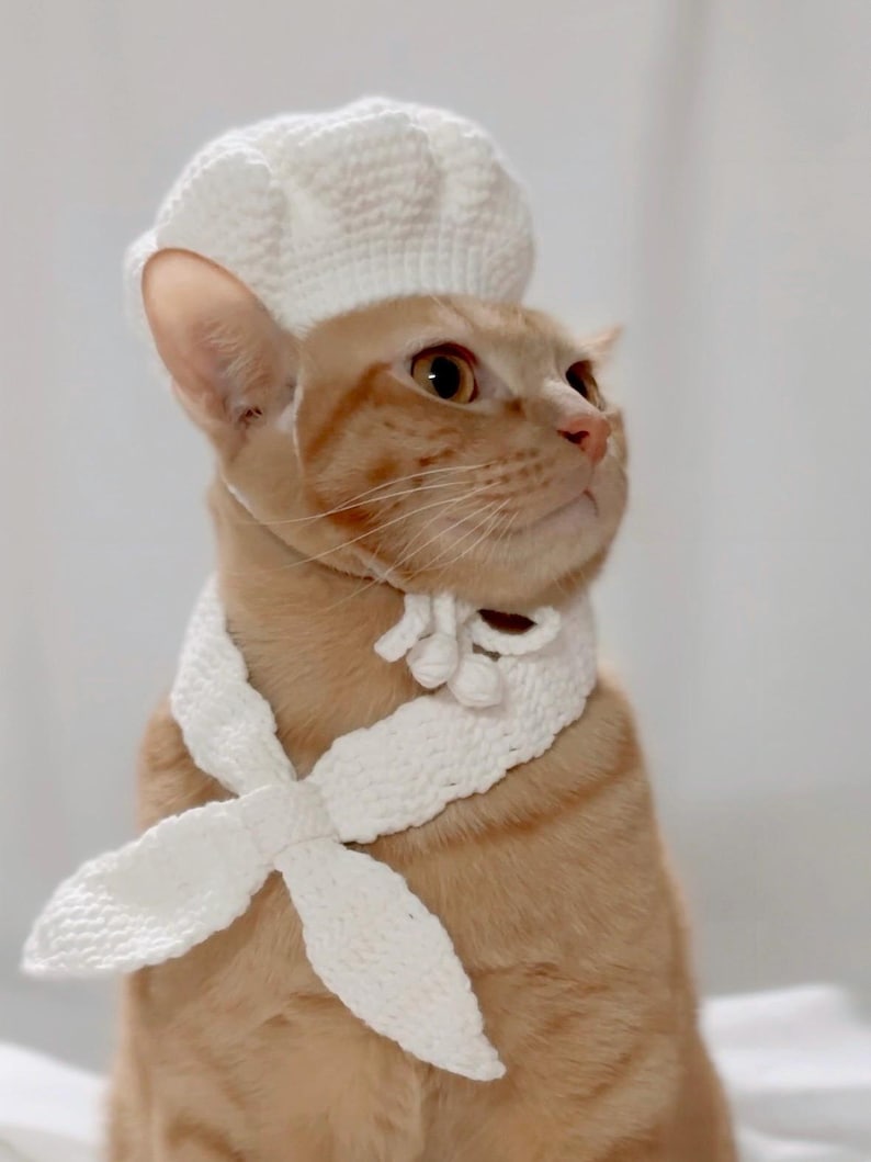 French Chef Hat and Scarf for Cats, Cook Pet Cosplay Outfit, Hat ...