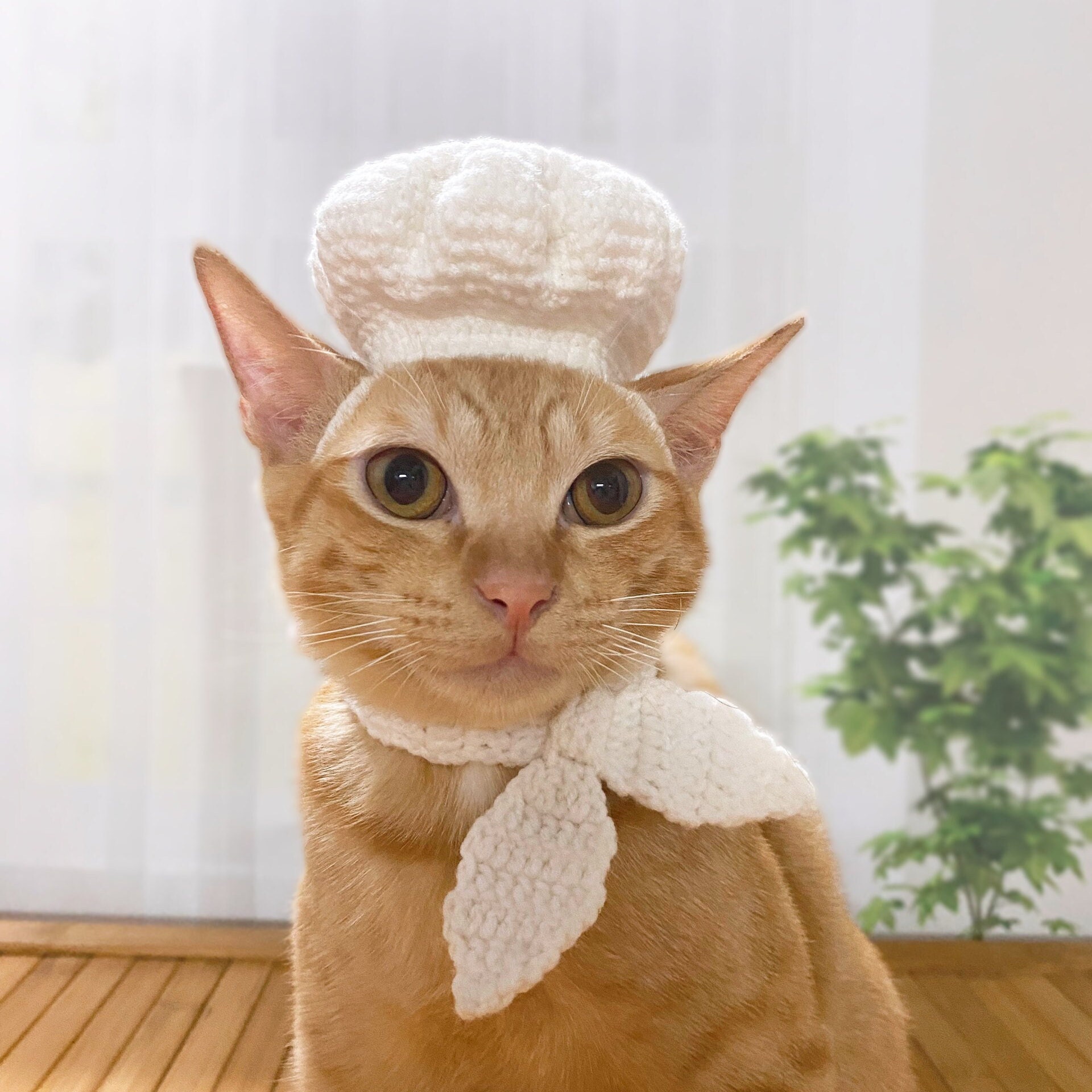 French Chef Hat and Scarf for Cats, Cook Pet Cosplay Outfit, Hat ...