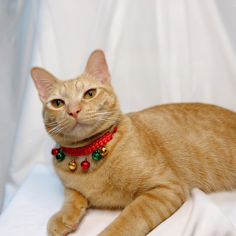 Colorful Bell Cat Collar, Jingle Bell for Cat Collar Dog Collar, Lover ...