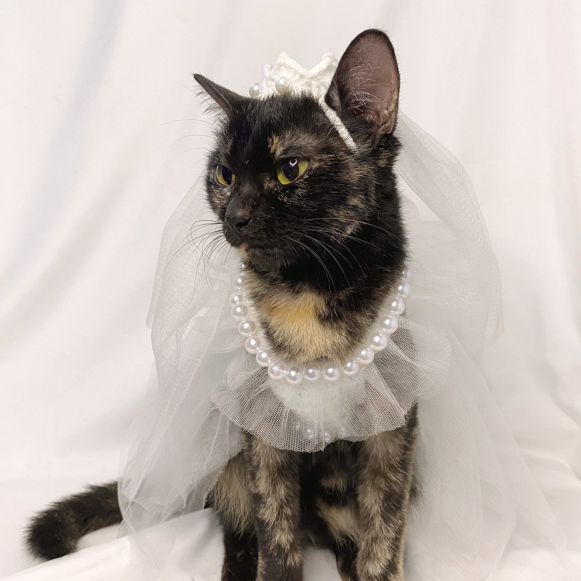 Cat Wedding Dress Crown Bridal Veil Bridesmaid Costume Birthday Holiday ...