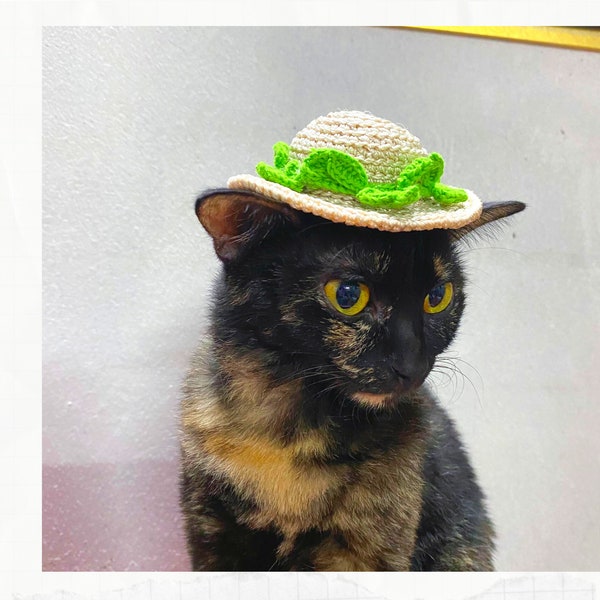 Cat Straw Hat - Etsy