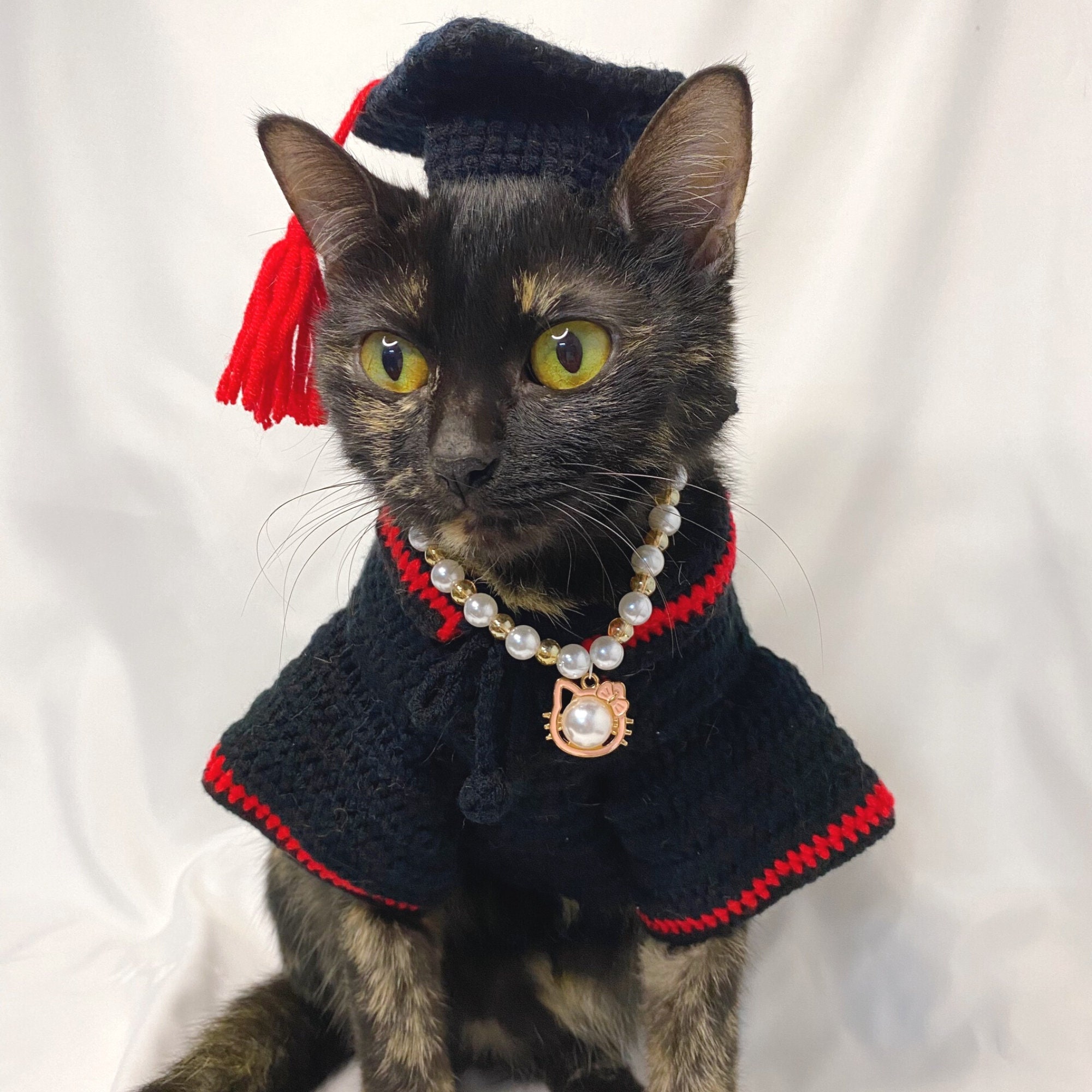 Graduation Costume With Hat and Gown for Cats Gift for Cat - Etsy