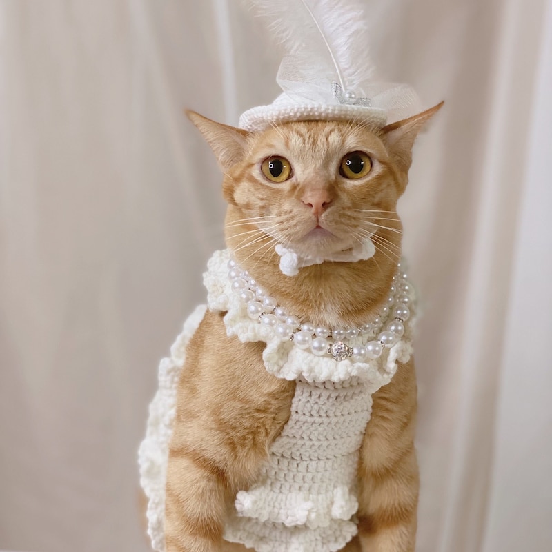 Dog Princess Bed - Etsy