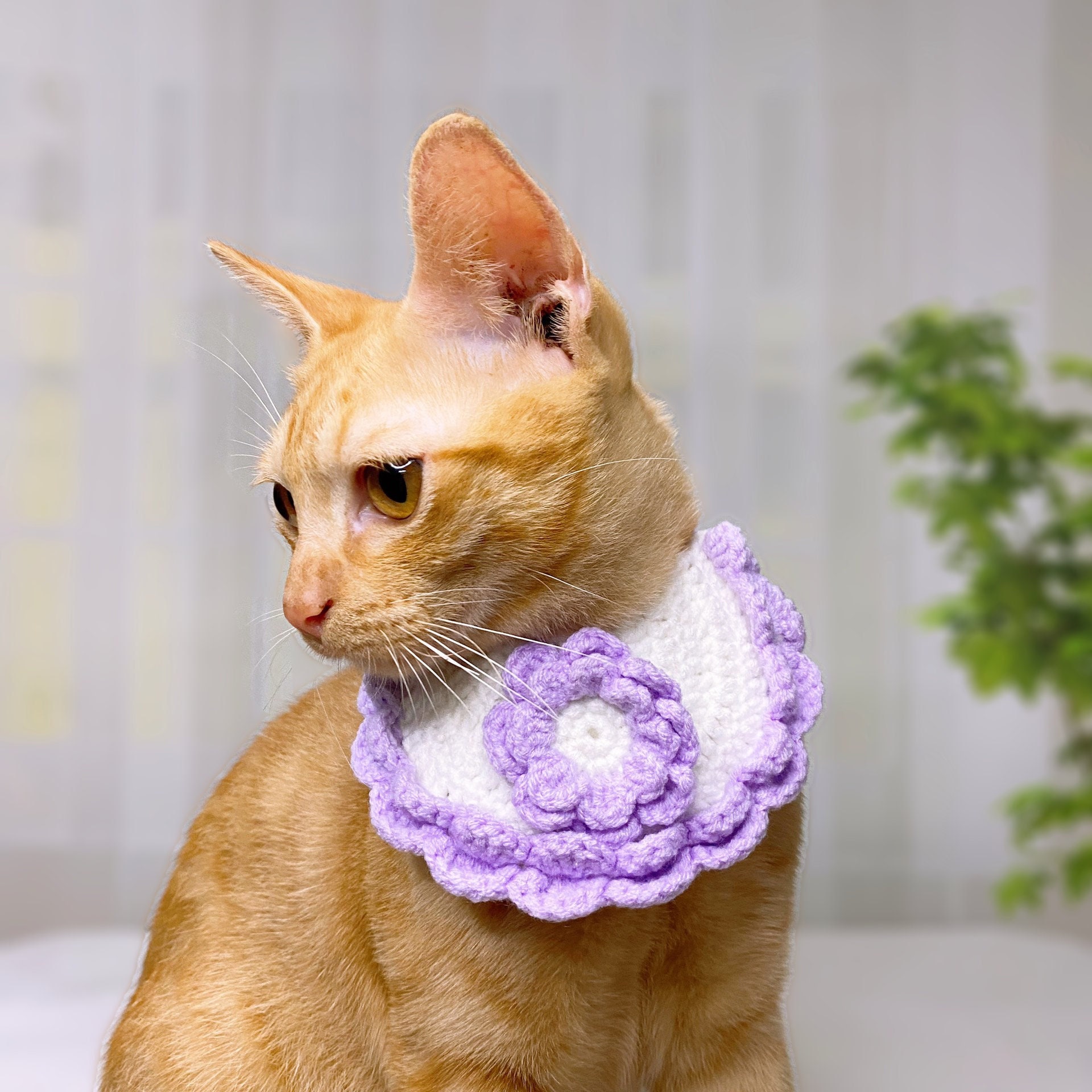 Crochet Flowers Pet Collar Cute Collars Cat and Dog Collar - Etsy