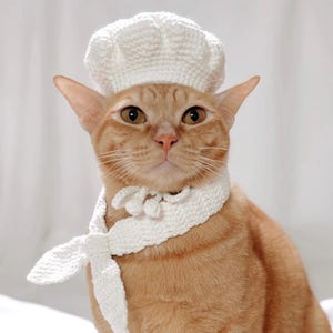French Chef Hat and Scarf for Cats, Cook Pet Cosplay Outfit, Hat ...