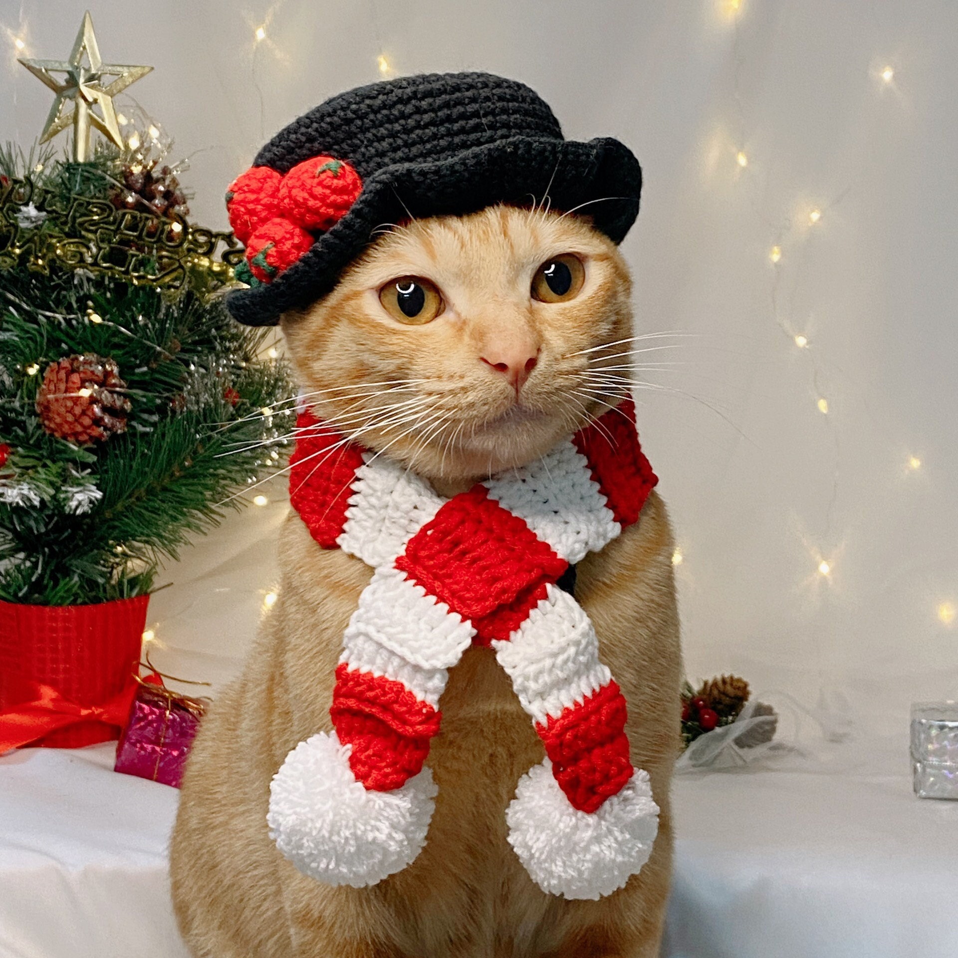 Snowman Cat Hat and Scarf Set - Funny Handmade Knitted Warm Dog Kitten ...