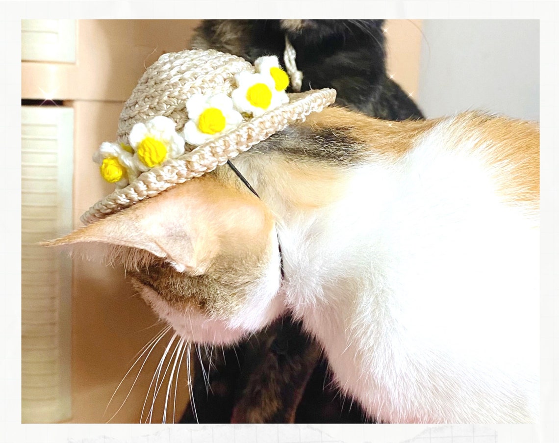 Crochet Pattern: Straw Hat for Cats, PDF Instructions for Cat Straw Hat ...