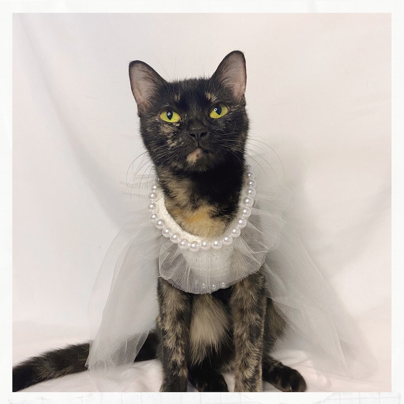 Cat Wedding Dress Crown Bridal Veil Bridesmaid Costume - Etsy