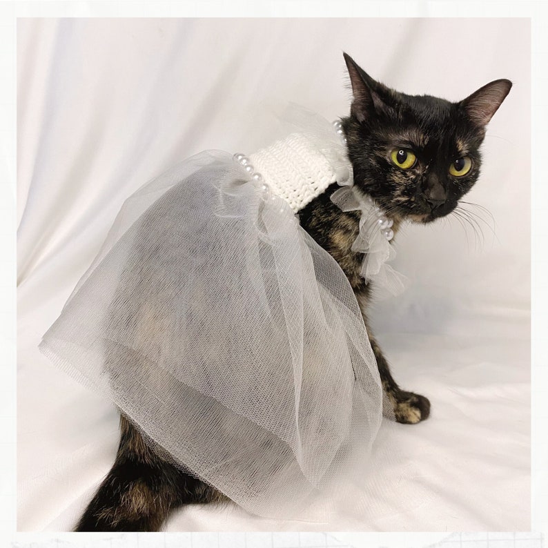 Cat Wedding Dress Crown Bridal Veil Bridesmaid Costume - Etsy